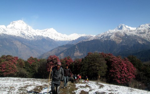 Annapurna Panorama View Trek - 5 Days